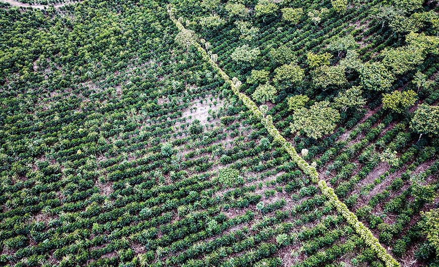 Sustainability | Protecting the Environment | Nespresso USA